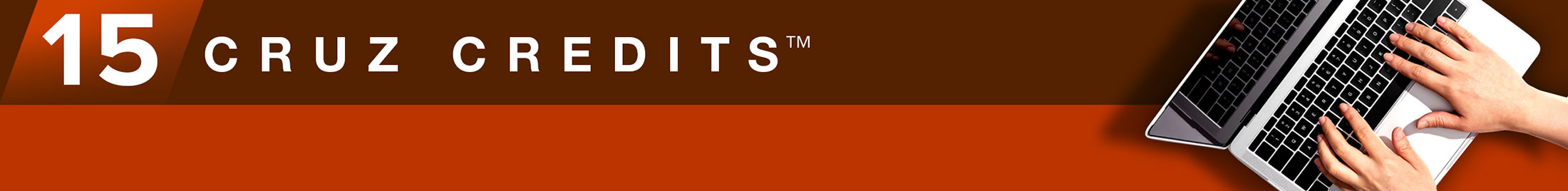 Cattle Sorting Flag