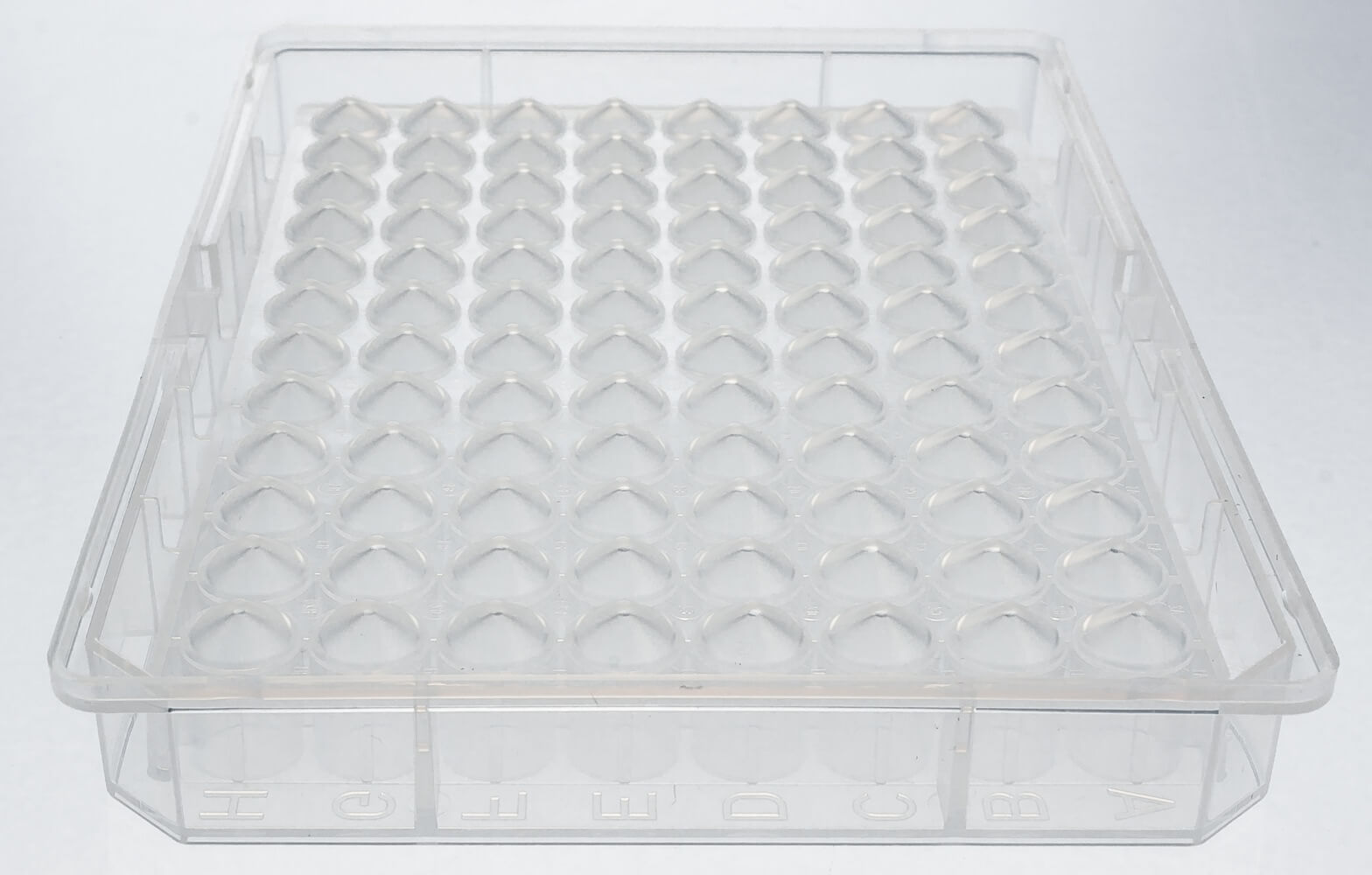 V-Bottom Plate at Alonzo Caraway blog