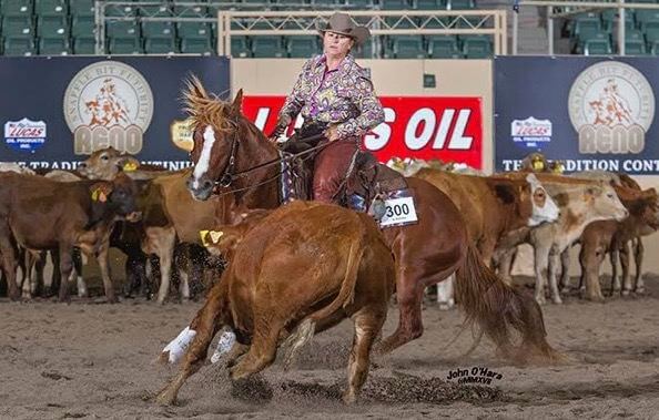 Shop Pharmacy for Sheep Rx Critical Care