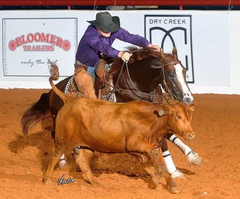 UltraCruz® Equine Advanced Gastric Support Supplement for Horses ...