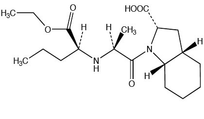 Perindopril | CAS 82834-16-0 | Santa Cruz Biotech