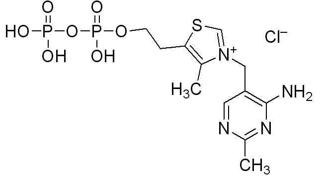 Thiamine Pyrophosphate; Cocarboxylase; Thiamine Diphosphate
