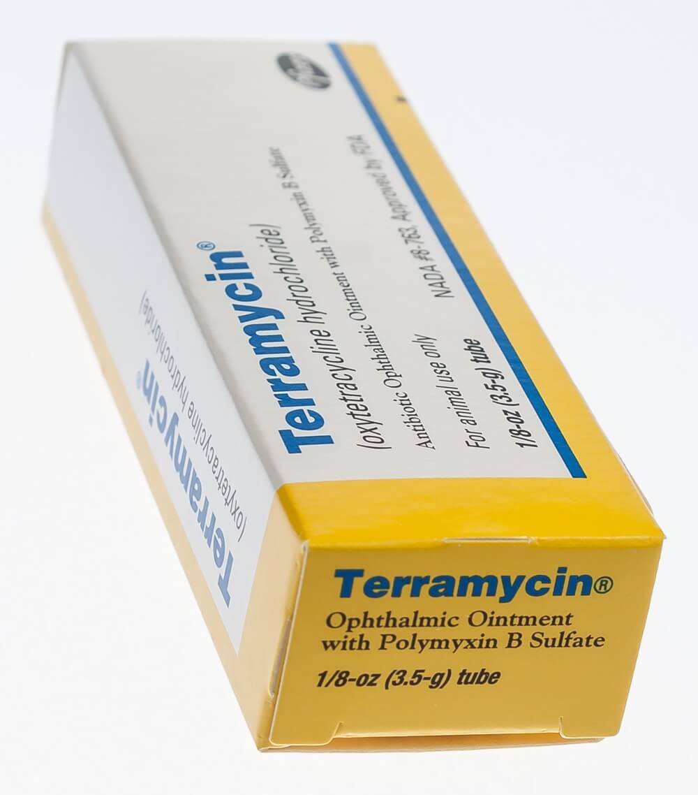 Terramycin® Ophthalmic Ointment, 0.125 oz | Santa Cruz Animal Health