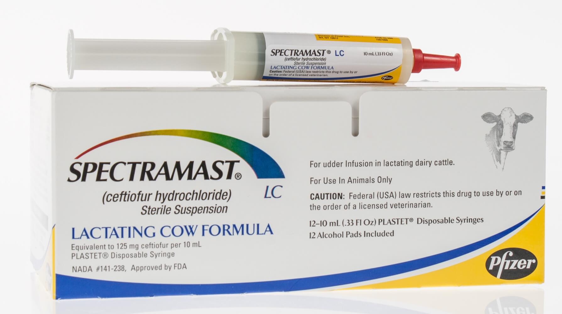 Spectramast® LC, 12 x 10 ml | Santa Cruz Animal Health