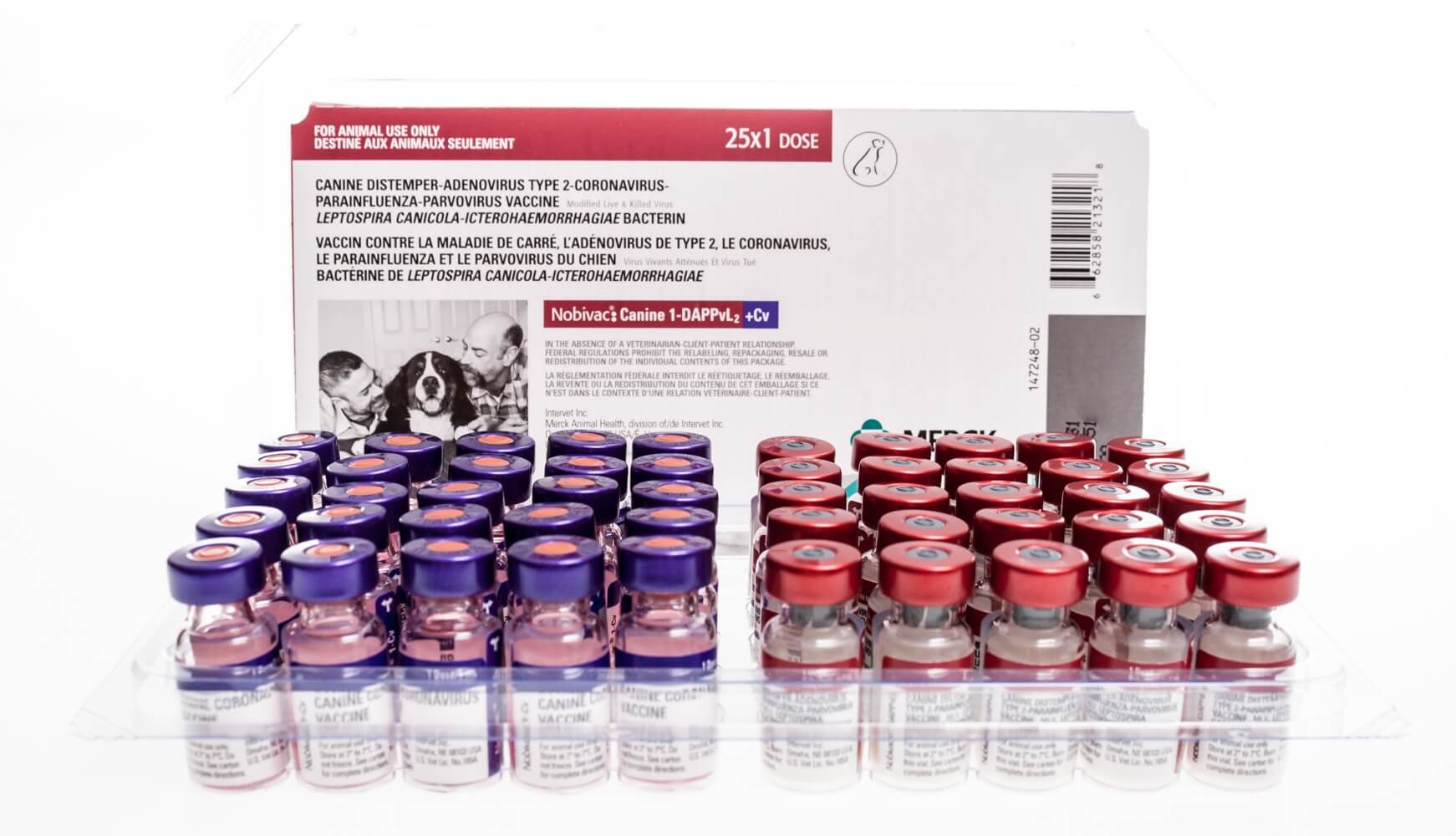 Nobivac® Canine 1-DAPPvL2 + Cv, 25 x 1 ds vials | Santa Cruz Animal Health