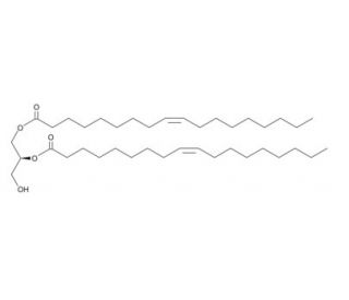 1,2-Dioleoyl-sn-glycerol | CAS 24529-88-2 | SCBT - Santa Cruz Biotechnology
