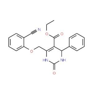 1-[4-(morpholin-4-ylcarbonyl)phenyl]methanamine hydrochloride | SCBT ...