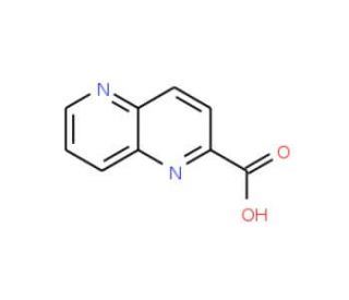 1,5-Naphthyridine-2-carboxylic acid | CAS 49850-62-6 | SCBT - Santa ...