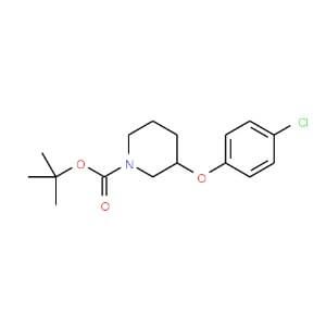 1-Boc-3-(4-chlorophenoxy)piperidine | SCBT - Santa Cruz Biotechnology