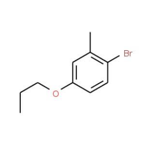 1-Bromo-2-methyl-4-propoxybenzene | CAS 1133116-39-8 | SCBT - Santa ...