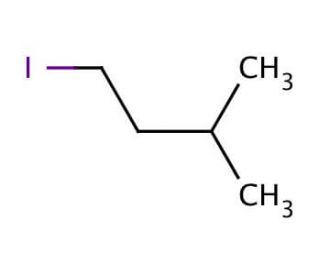 1-Iodo-3-methylbutane | CAS 541-28-6 | SCBT - Santa Cruz Biotechnology