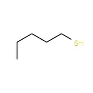 1-Pentanethiol | CAS 110-66-7 | SCBT - Santa Cruz Biotechnology
