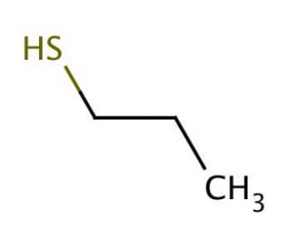 1-Propanethiol | CAS 107-03-9 | SCBT - Santa Cruz Biotechnology
