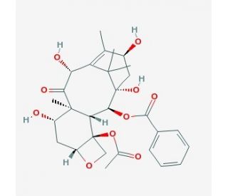 10-Deacetylbaccatin-III | CAS 32981-86-5 | SCBT - Santa Cruz Biotechnology