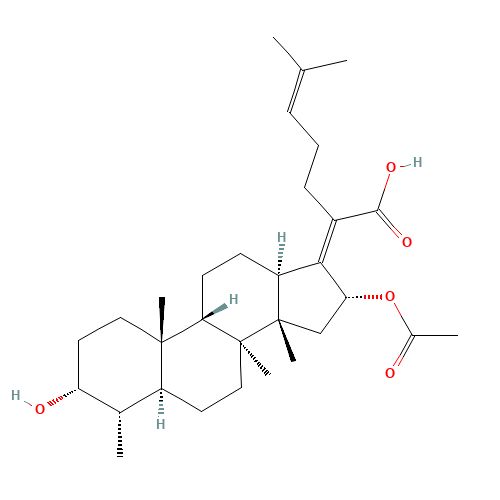 11-Deoxy Fusidic Acid | CAS 1013937-16-0 | SCBT - Santa Cruz Biotechnology