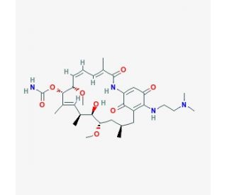 17-DMAG | CAS 467214-20-6 | SCBT - Santa Cruz Biotechnology