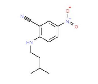 2-[(3-Methylbutyl)amino]-5-nitrobenzonitrile | SCBT - Santa Cruz ...