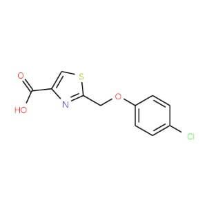 2-[(4-chlorophenoxy)methyl]-1,3-thiazole-4-carboxylic acid | SCBT - Santa Cruz Biotechnology