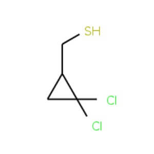 (2,2-dichlorocyclopropyl)methanethiol | SCBT - Santa Cruz Biotechnology