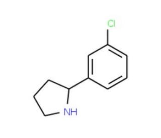 2-(3-Chlorophenyl)pyrrolidine | CAS 298690-74-1 | SCBT - Santa Cruz ...
