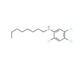2,4,5-Trichloro-N-octylaniline | SCBT - Santa Cruz Biotechnology