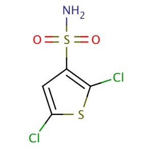 2,5-Dichlorothiophene-3-sulfonamide | CAS 53595-68-9 | SCBT - Santa ...