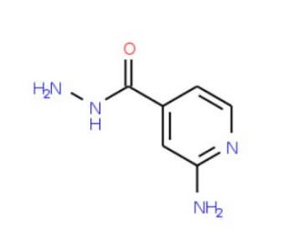2-Amino-isonicotinic acid hydrazide | CAS 58481-01-9 | SCBT - Santa ...