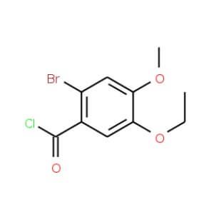 2 Bromo 5 Ethoxy 4 Methoxybenzoyl Chloride Scbt Santa Cruz Biotechnology