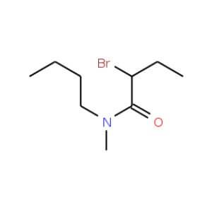 2-Bromo-N-butyl-N-methylbutanamide | SCBT - Santa Cruz Biotechnology