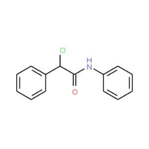 2-chloro-N,2-diphenylacetamide | CAS 5110-77-0 | SCBT - Santa Cruz ...