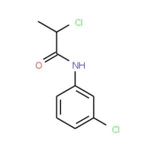 2-Chloro-N-(3-chlorophenyl)propanamide | SCBT - Santa Cruz Biotechnology