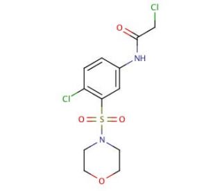 2-Chloro-N-[4-chloro-3-(morpholine-4-sulfonyl)-phenyl]-acetamide | SCBT ...