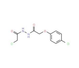 2-chloro-N′-[(4-chlorophenoxy)acetyl]acetohydrazide: sc-342569...