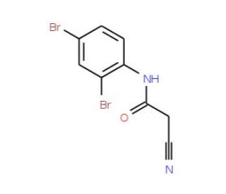 2-Cyano-N-(2,4-dibromophenyl)acetamide | SCBT - Santa Cruz Biotechnology