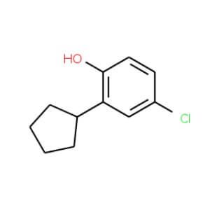 2-Cyclopentyl-4-chlorophenol | CAS 13347-42-7 | SCBT - Santa Cruz ...