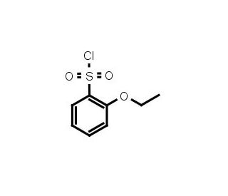 2-Ethoxy-benzenesulfonyl chloride | CAS 68800-33-9 | SCBT - Santa Cruz ...