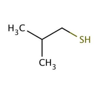 2-Methyl-1-propanethiol | CAS 513-44-0 | SCBT - Santa Cruz Biotechnology