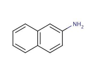 2-Naphthylamine | CAS 91-59-8 | SCBT - Santa Cruz Biotechnology