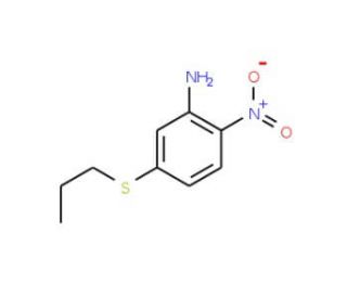 2-Nitro-5-(propylthio)aniline | CAS 57780-75-3 | SCBT - Santa Cruz ...