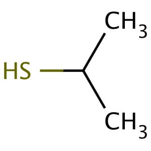 2-Propanethiol | CAS 75-33-2 | SCBT - Santa Cruz Biotechnology