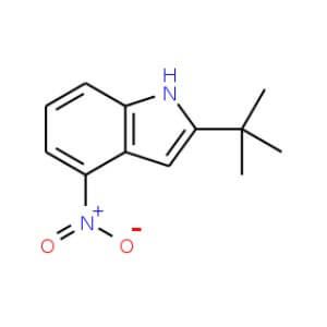 2-tert-Butyl-4-nitroindole | SCBT - Santa Cruz Biotechnology