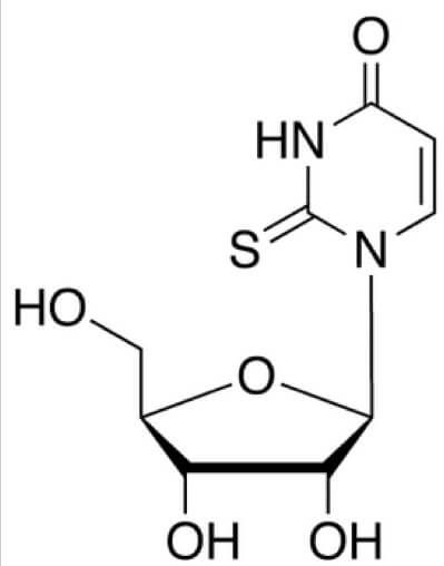 2-Thiouridine | CAS 20235-78-3 | SCBT - Santa Cruz Biotechnology