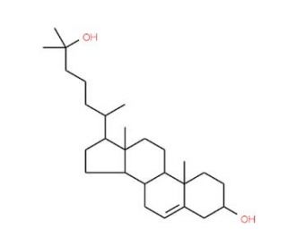 25-Hydroxycholesterol | CAS 2140-46-7 | SCBT - Santa Cruz Biotechnology
