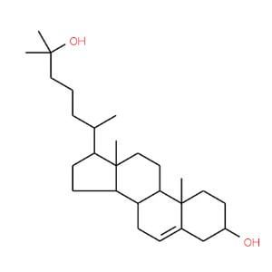 25-Hydroxycholesterol | CAS 2140-46-7 | SCBT - Santa Cruz Biotechnology