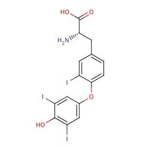 3,3′,5′-Triiodo-L-thyronine | CAS 5817-39-0 | SCBT - Santa Cruz ...