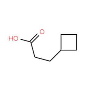 3-Cyclobutyl-propionic acid | CAS 4415-84-3 | SCBT - Santa Cruz ...