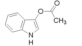 3-Indoxyl-3-acetate | CAS 608-08-2 | SCBT - Santa Cruz Biotechnology