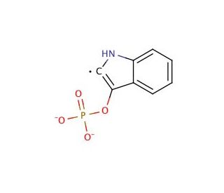 3-Indoxyl phosphate, disodium salt | CAS 3318-43-2 | SCBT - Santa Cruz ...