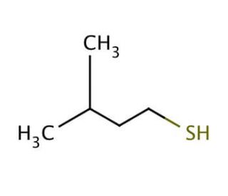 3-Methyl-1-butanethiol | CAS 541-31-1 | SCBT - Santa Cruz Biotechnology