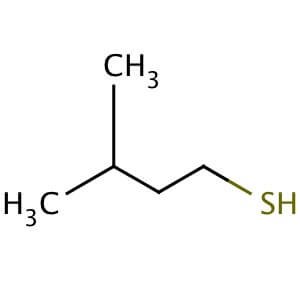 3-Methyl-1-butanethiol | CAS 541-31-1 | SCBT - Santa Cruz Biotechnology